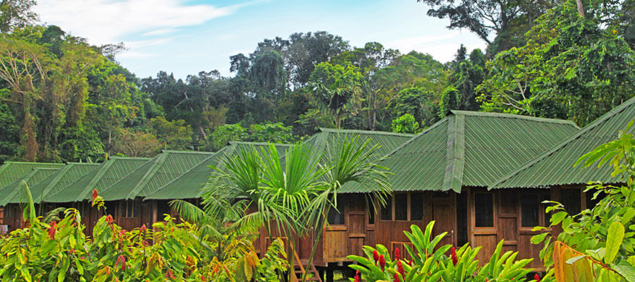 Native Naturalist - 8 Days / 7 Nights - Native Tours